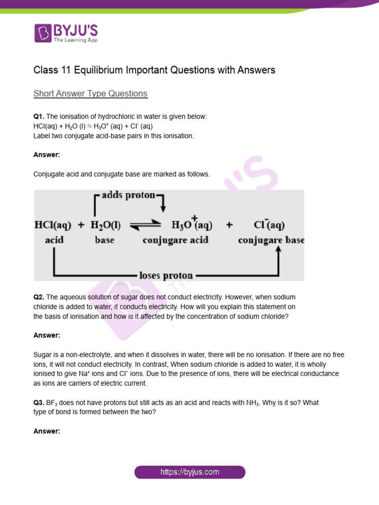 Class 11 Chemistry Chapter 7 Equilibrium Important Questions With ...