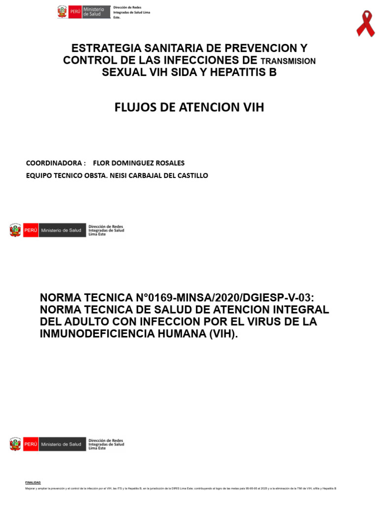 Flujo Vih 2023 Final Julio | PDF | Manejo del VIH / SIDA | VIH