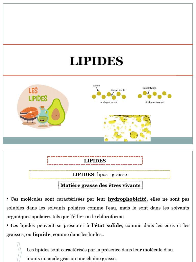 Cours de Biochimie Structurale 2022 2023 LIPIDE | PDF | Lipide | Acide gras