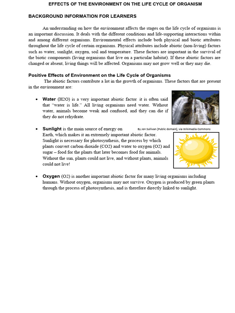 Environmental Impact on Life Cycles | PDF | Science & Mathematics