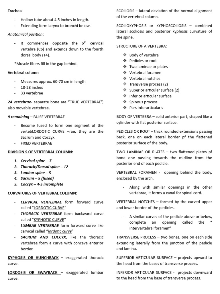 VERTEBRAE | PDF | Vertebra | Vertebral Column