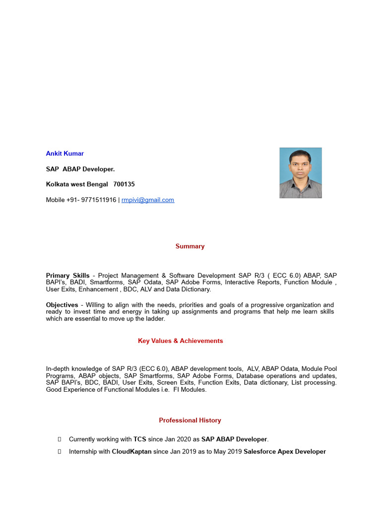 Ankit Kumar Sap Abap Developer Pdf Business