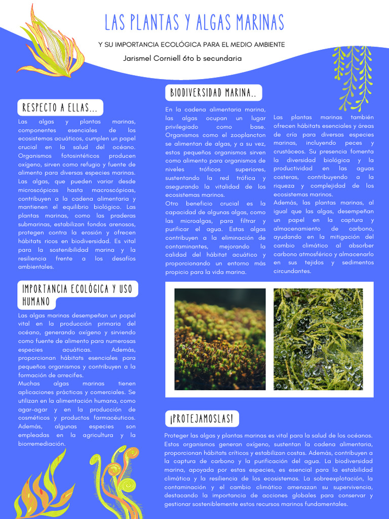 Poster Científico Académico Algas y Plantas Marinas Dibujo Vector Azul ...