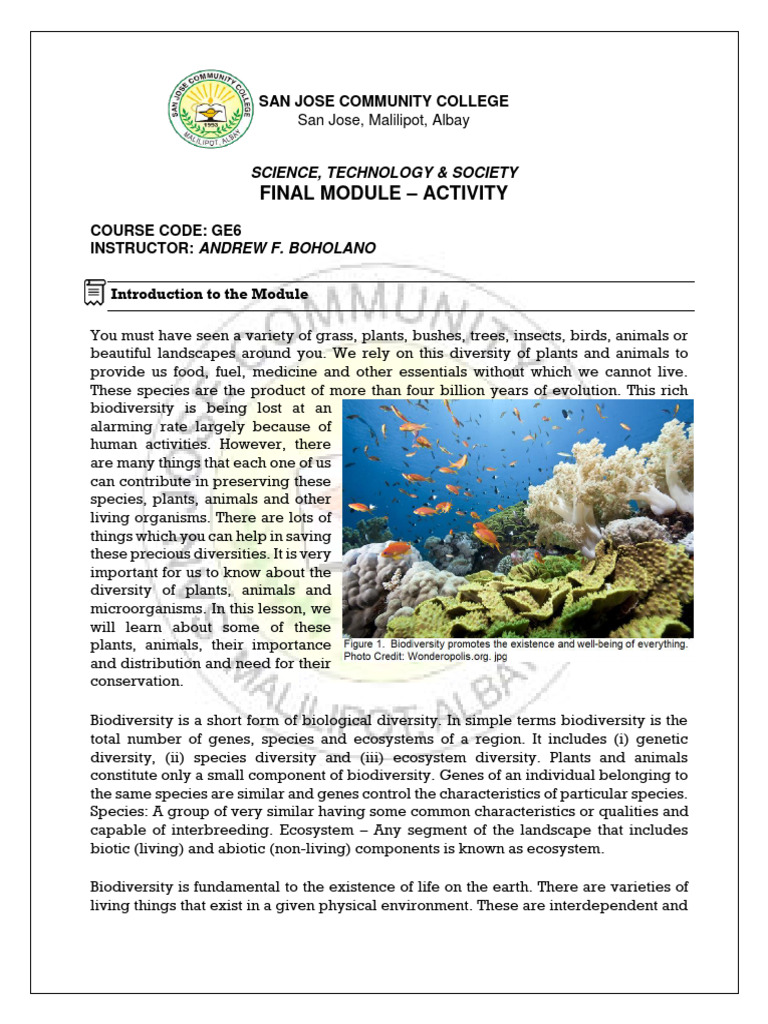 Final Module Activity | PDF | Stem Cell | Hematopoietic Stem Cell ...