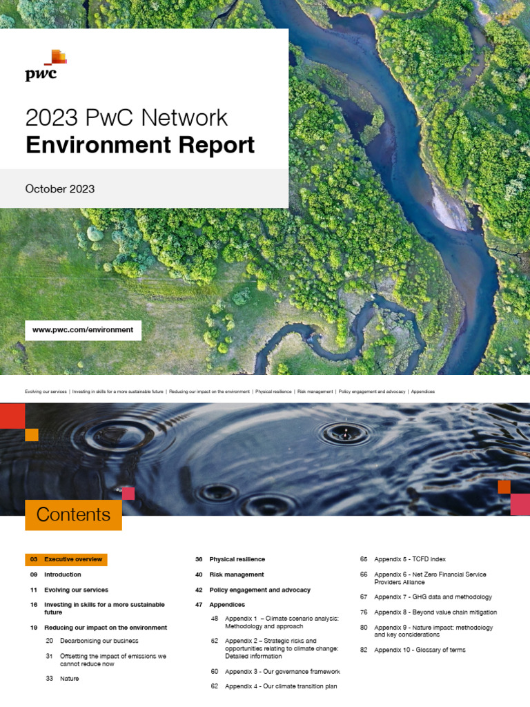 2023 PWC Network Environment Report | PDF