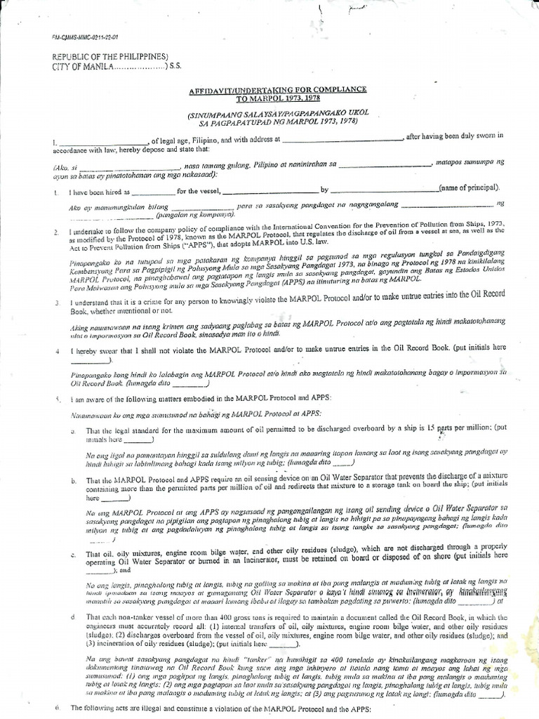 Affidavit Undertaking | PDF