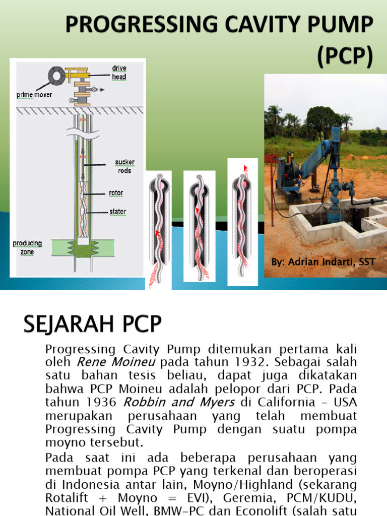 Progressing Cavity Pump | PDF