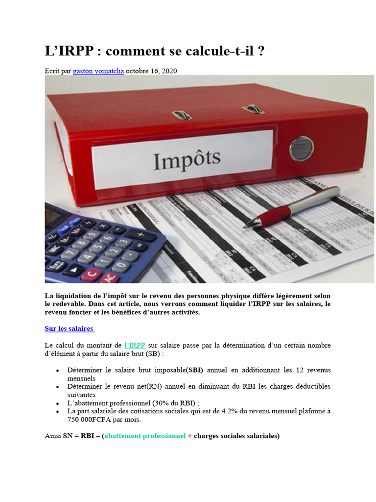 Irpp Cameroun | PDF