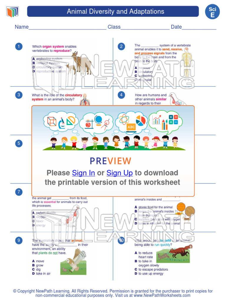 Worksheet Science Grade 5 Animal Diversity and Adaptations 0 | PDF