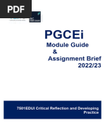 End of Module Reflection Guide | PDF