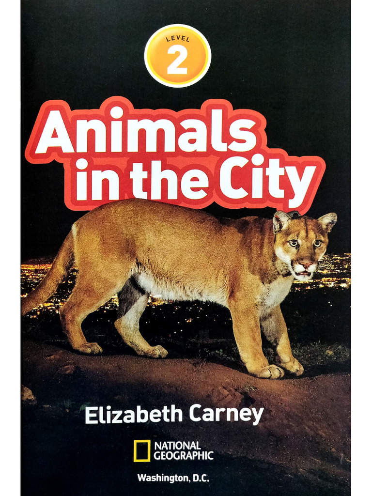 Animals in The City | PDF