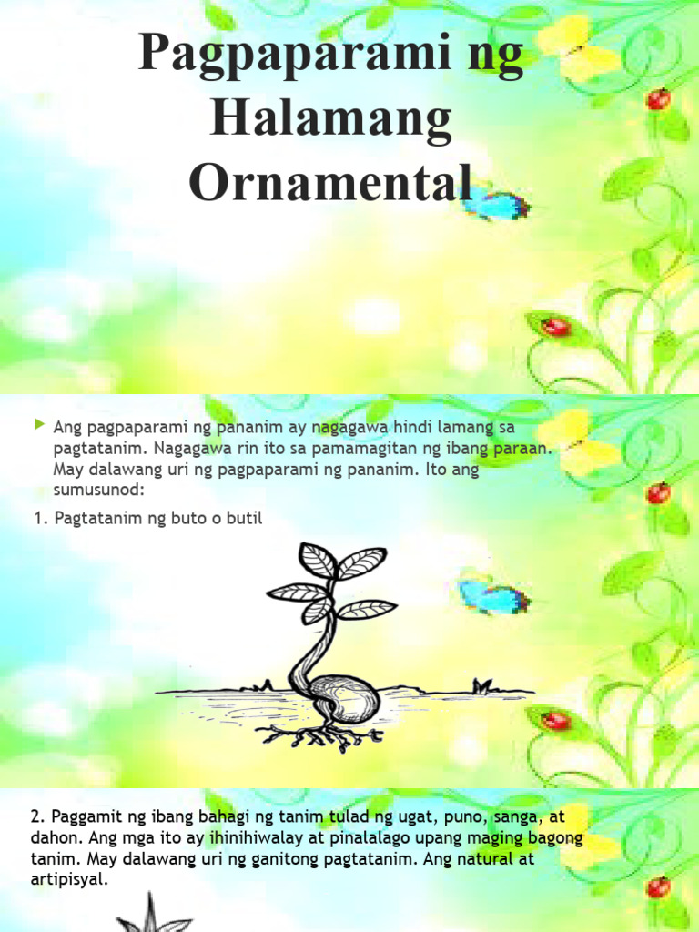 AGRI Aralin11 Pagpaparami NG Halamang Ornamental | PDF