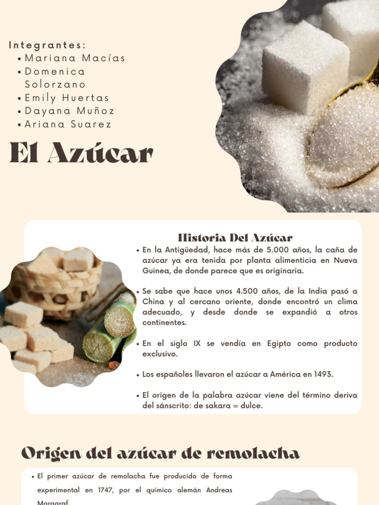 Azúcar | PDF | Azúcar | Dieta y nutrición