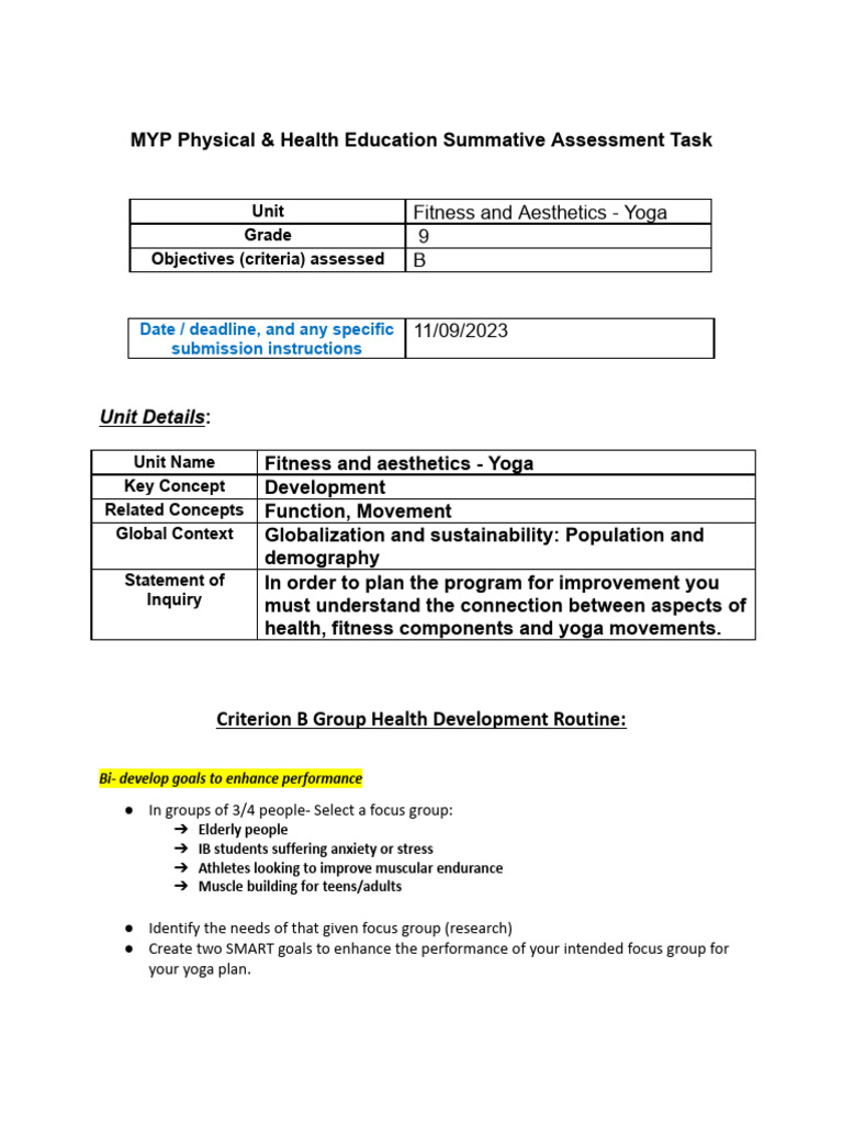 Group Summative Assessment Task - Criterion B | PDF
