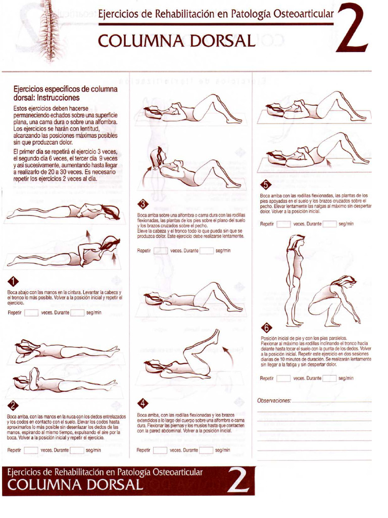 Ejericicos para Columna Dorsal | PDF