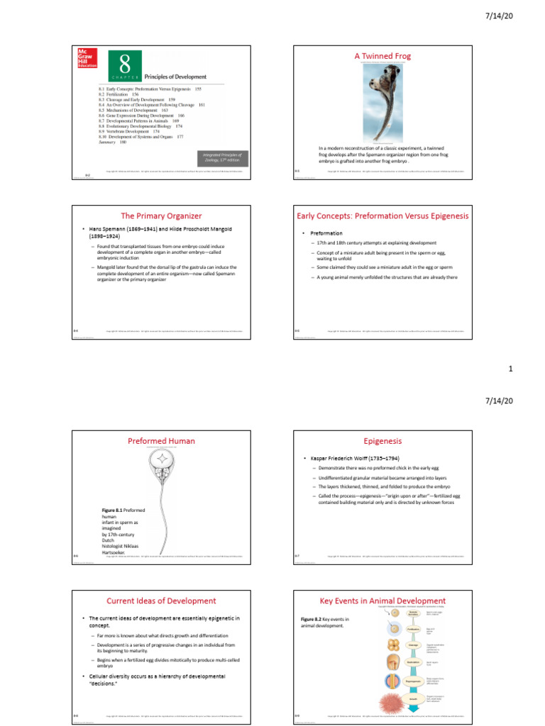 Part Two CH 8a | PDF | Meiosis | Fertilisation
