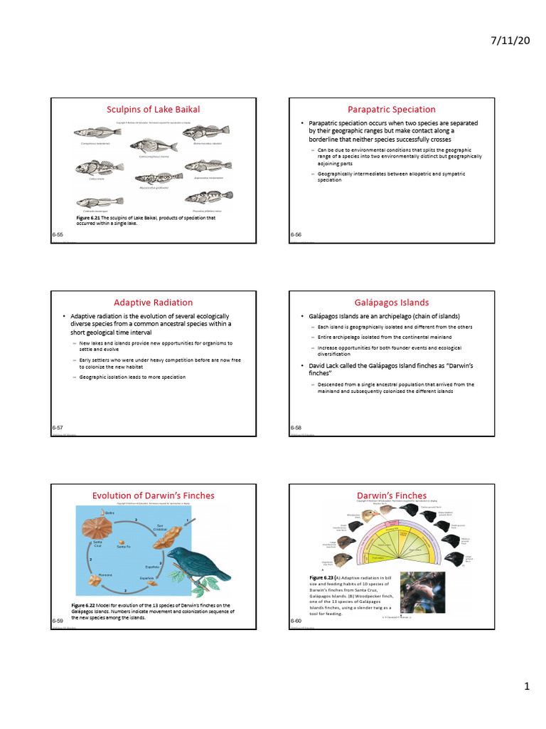 Part Two CH 6b | PDF