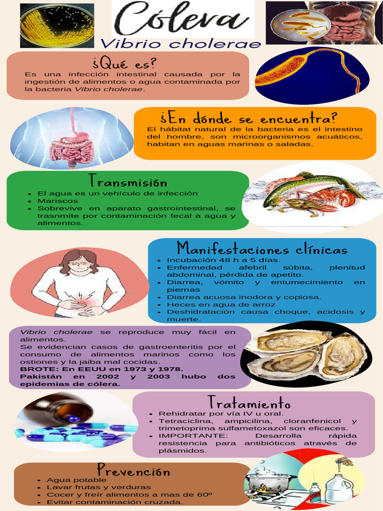 1 Infografía Vibrio Cholerae | PDF