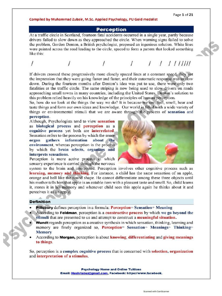 Perception in Psychology: Handouts | PDF