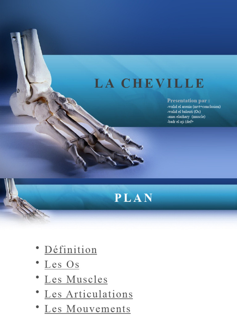 Che Ville | PDF | Pied | Jambe humaine