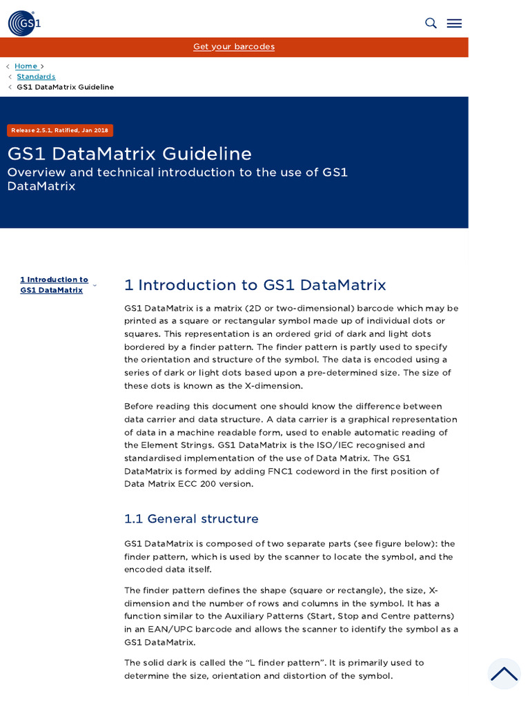 GS DataMatrix Guideline | Download Free PDF | Error Detection And Correction | Barcode