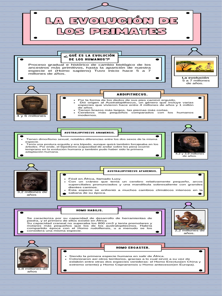 Evolución de los primates y humanos | PDF | Historia