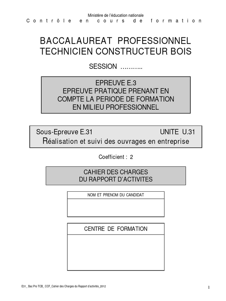 2529 2 E31 CCF Bac Pro TCB Cahier Des Charges Du Rapport Dacti 2012 | PDF