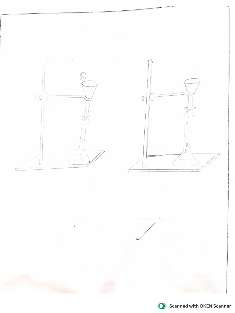 Chemistry Practical Experiments | PDF