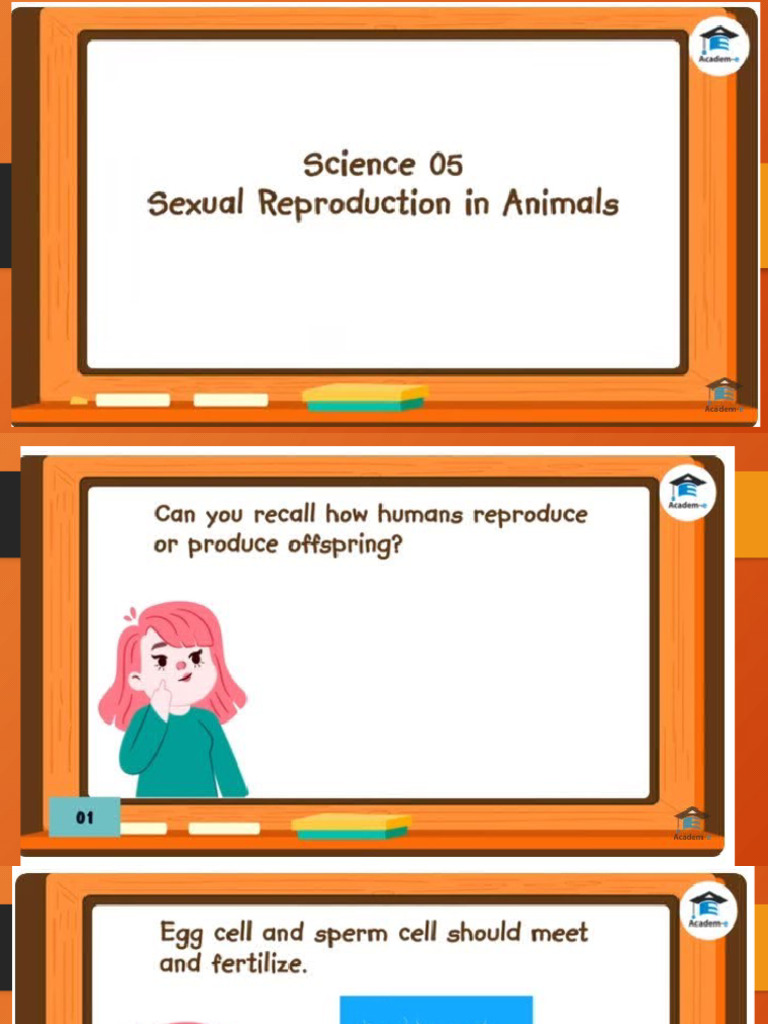 5 Science 5 - Q2 - W5 - Modes of Reproduction of Animals | PDF