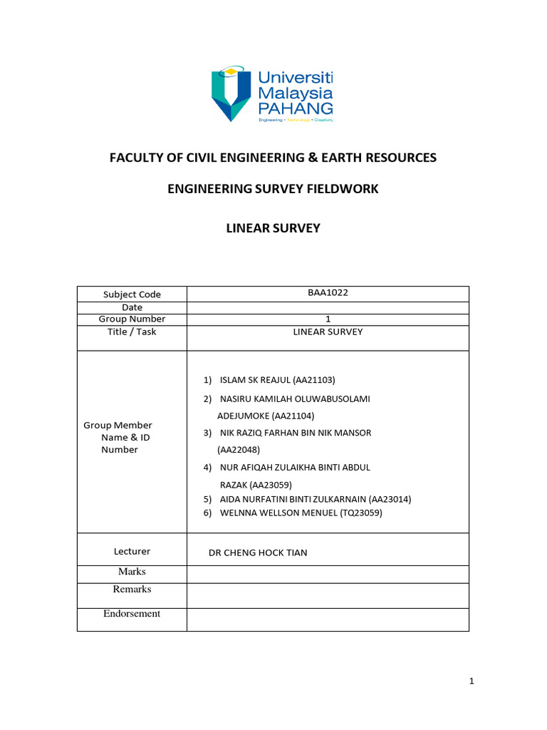 Linear Survey Report | PDF