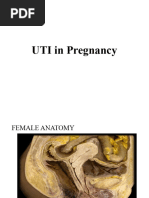 ACOG Clinical Consensus - UTIs in Pregnant Individuals | PDF | Urinary ...