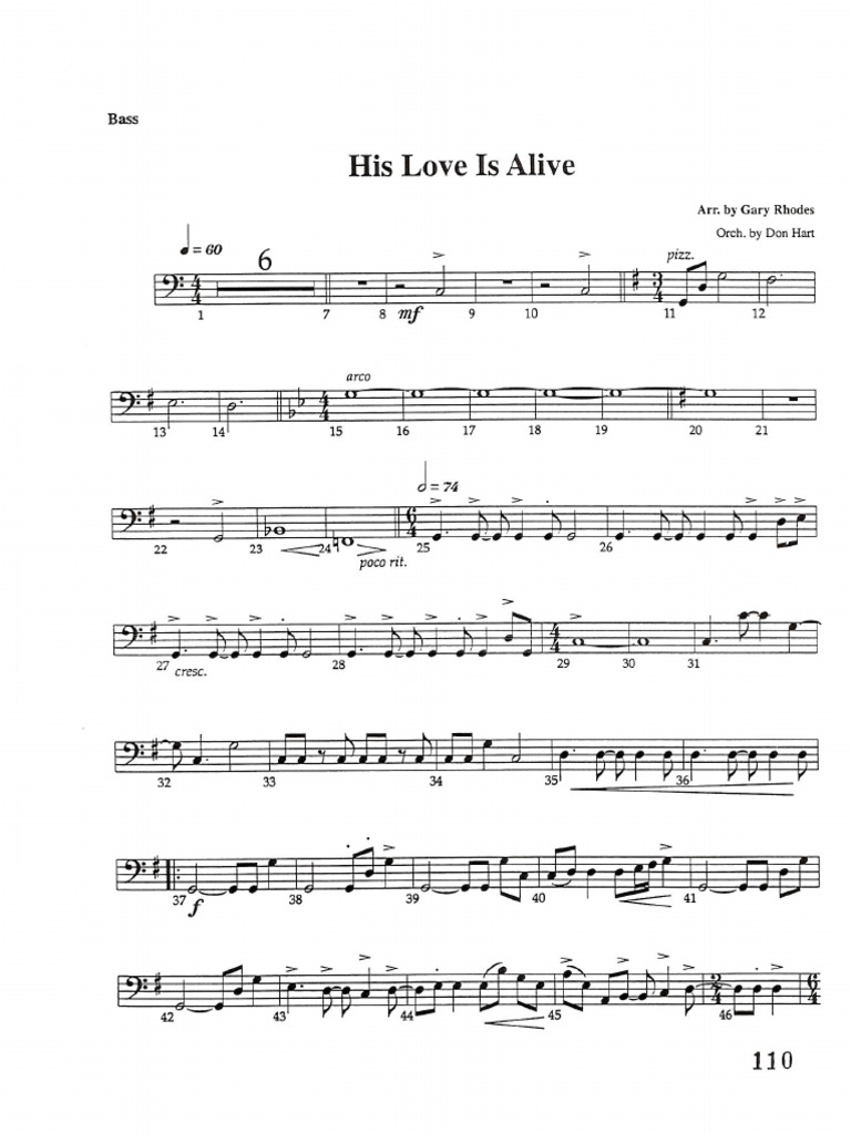 Bass | PDF