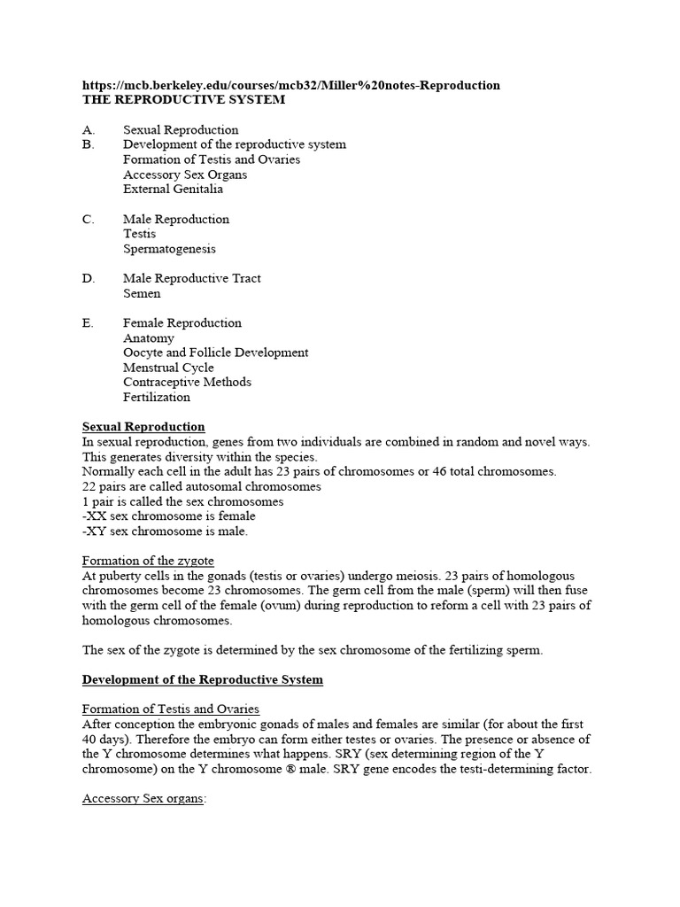 The Reproductive System Myguru | PDF | Menstrual Cycle | Testicle