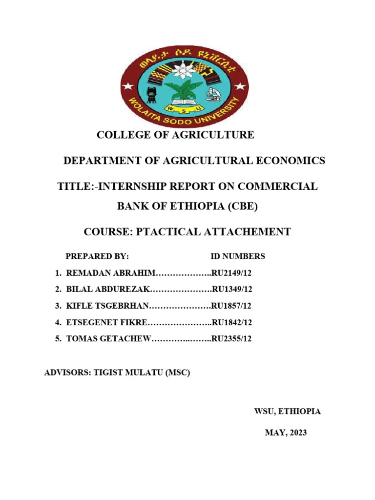 Rammisha Pract Attachment | PDF | Banks | Inflation