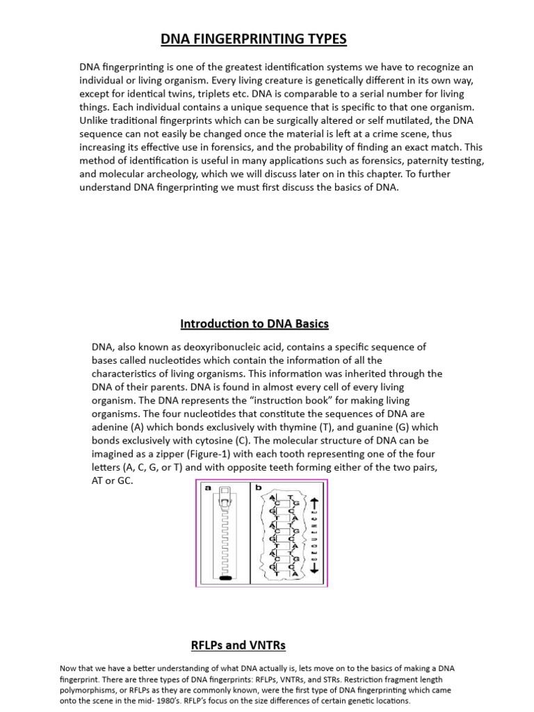 Dna Fingerprinting | PDF | Gel Electrophoresis | Dna Profiling