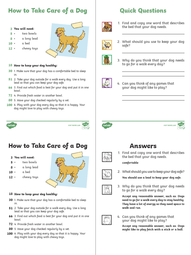 Essential Dog Care Tips for Owners | PDF | Cooking, Food & Wine