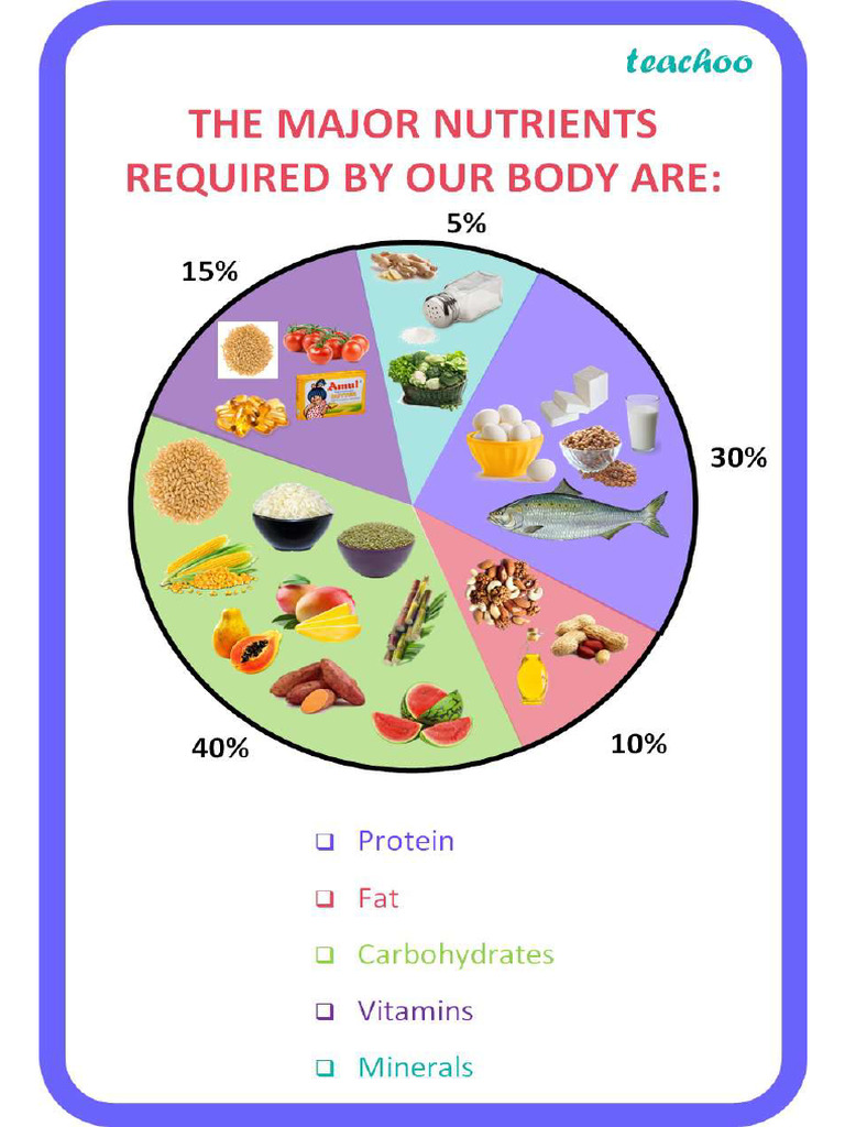 The Major Nutrients Required by Our Body Are | PDF
