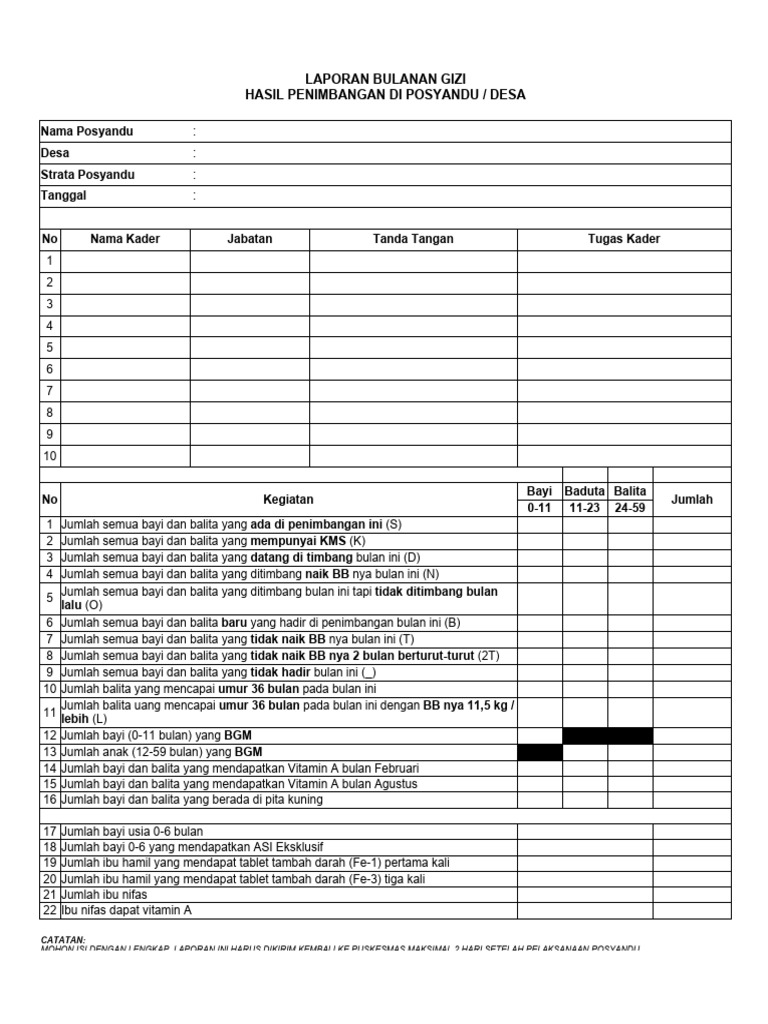 Format Laporan Posyandu 2024 | PDF