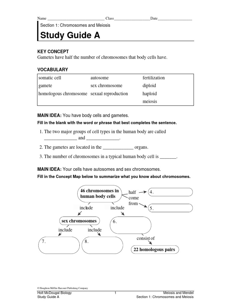Bio Study Guide | PDF | Zygosity | Allele