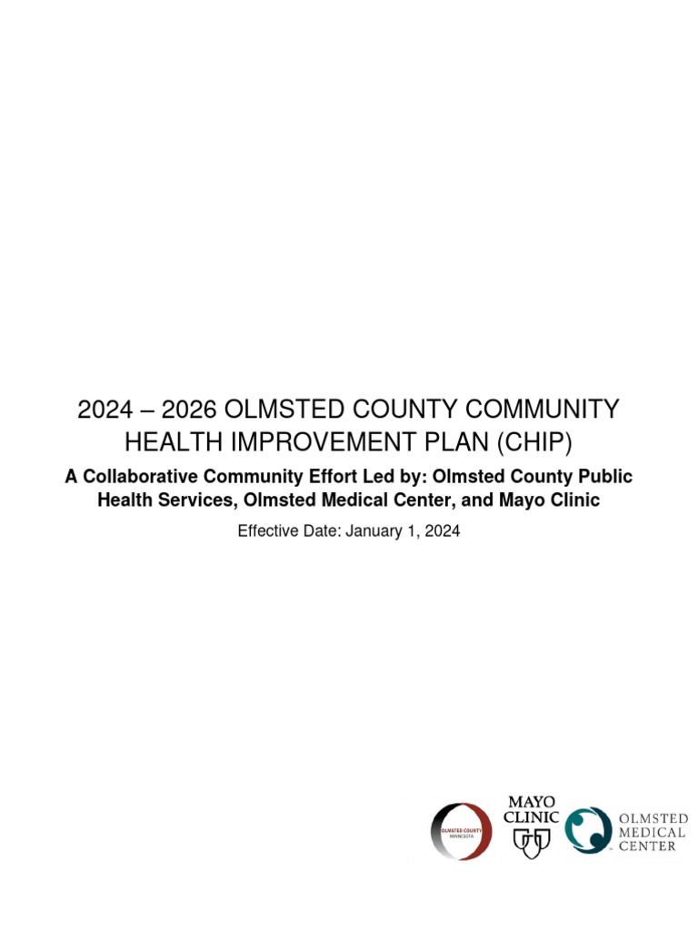 2024 - 2026 Olmsted County Community Health Improvement Plan | Download Free PDF | Naloxone ...