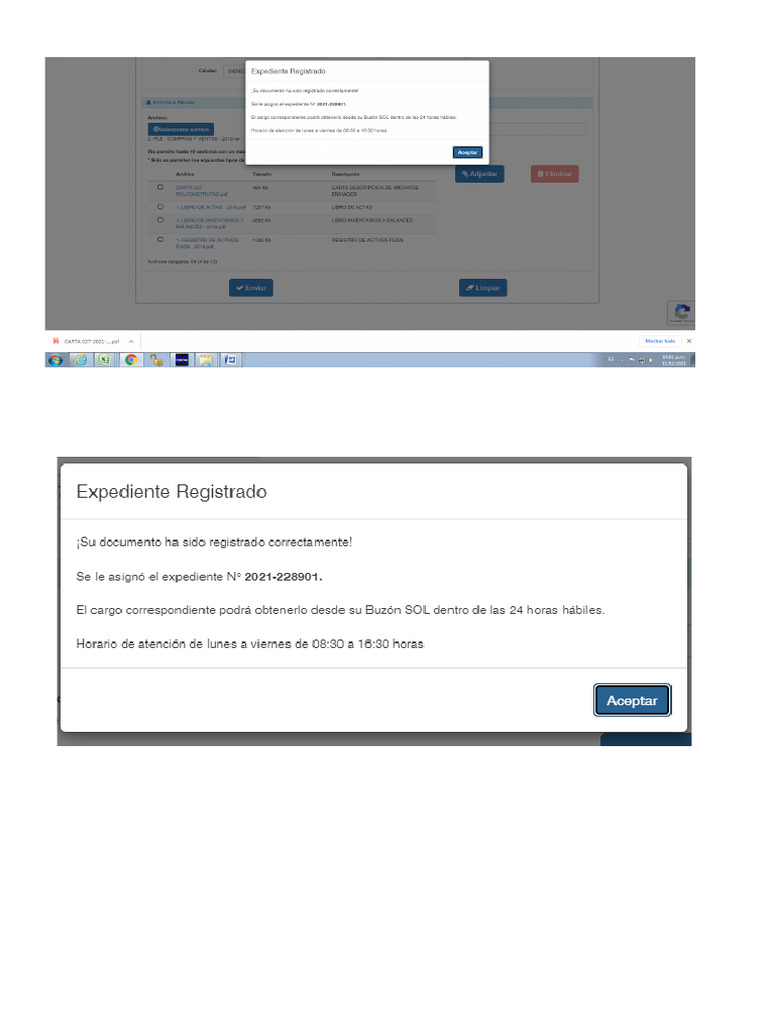 Registro 1 Sunat | PDF