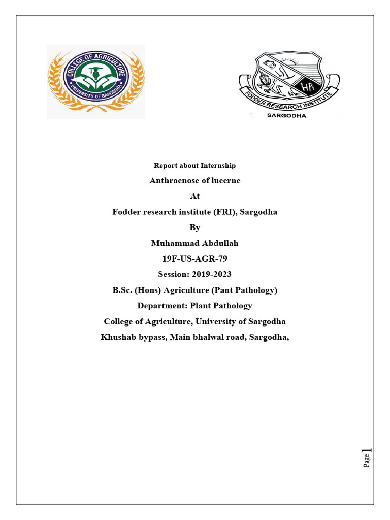 Report About Internship Abdullah Sahi | PDF | Alfalfa | Crops