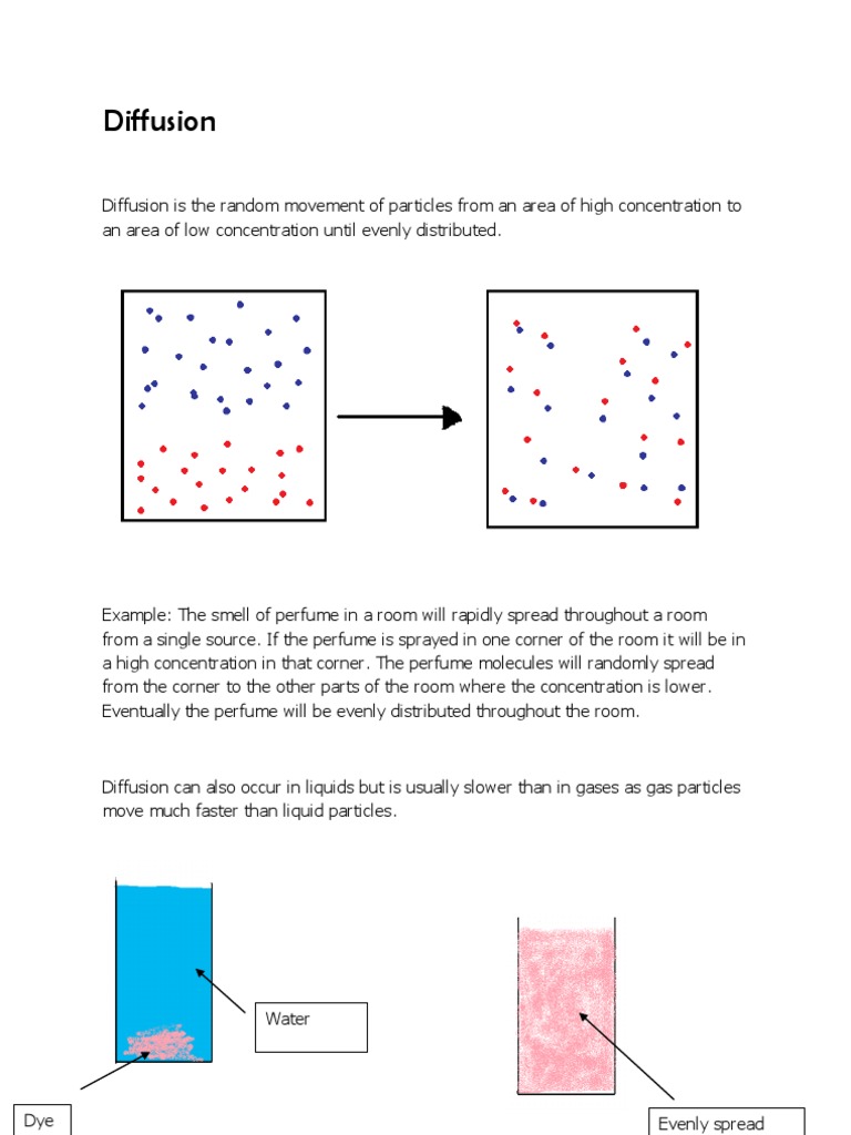 Diffusion, Osmosis and Cell Notes. | PDF | Osmosis | Cell Membrane