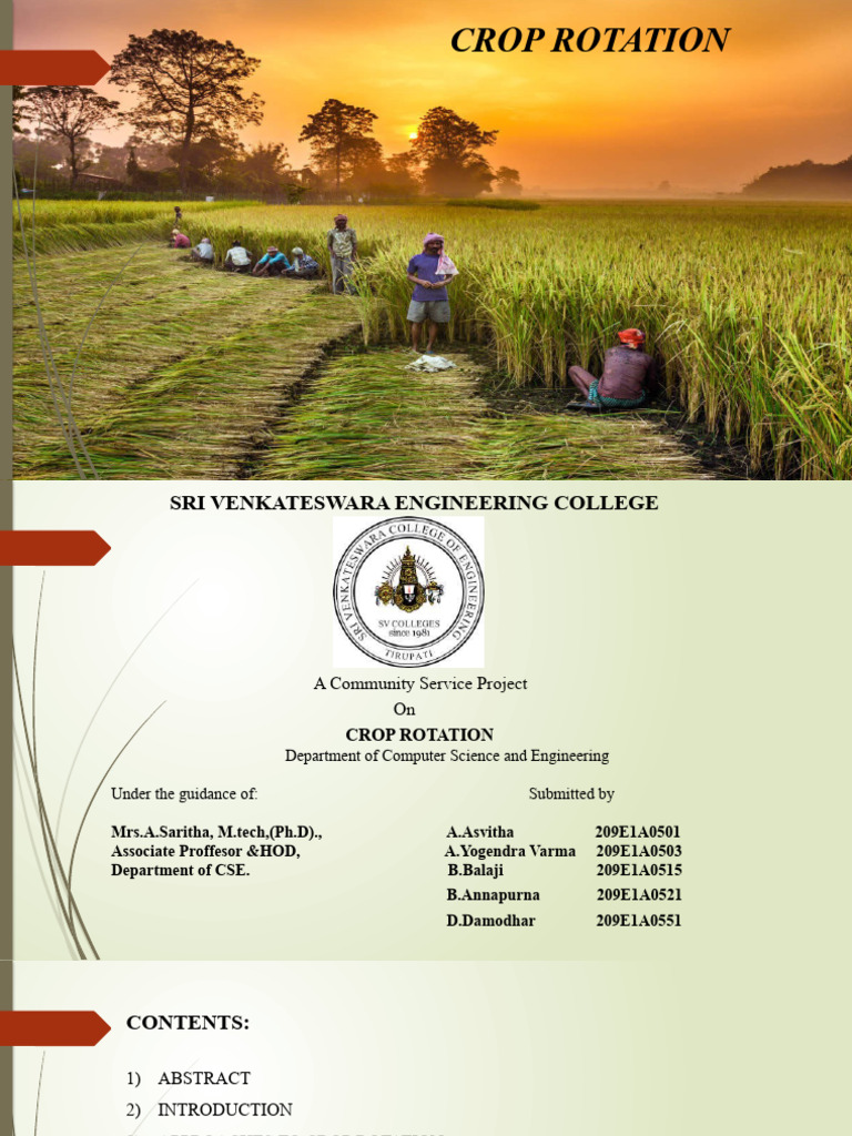 Crop Rotation - CSP Project | PDF | Crop Rotation | Agriculture