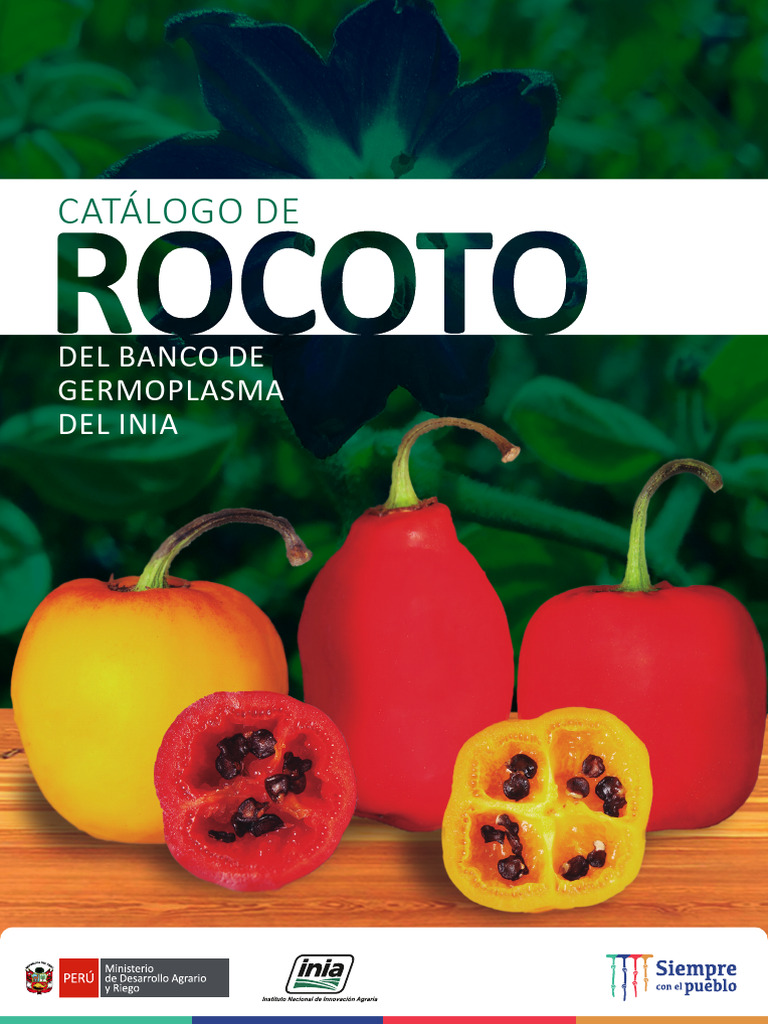 Catálogo de Rocoto Del Banco de Germoplasma Del INIA | PDF | Pimiento | Tallo de la planta