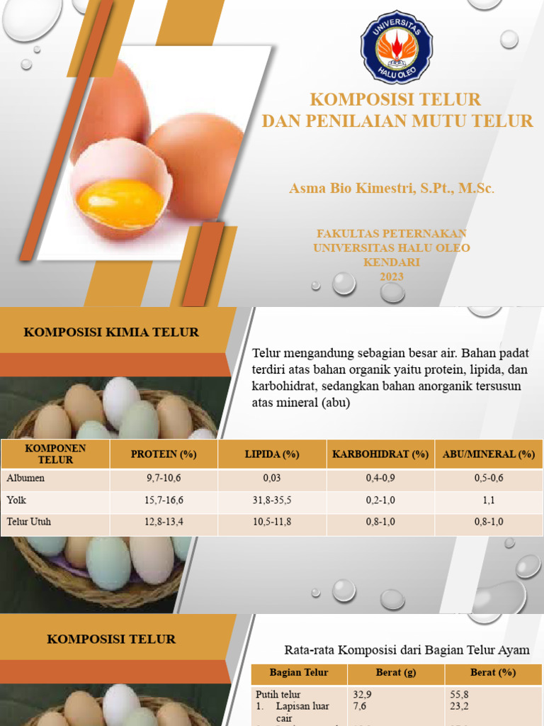 Komposisi Telur Dan Penilaian Mutu Telur | PDF