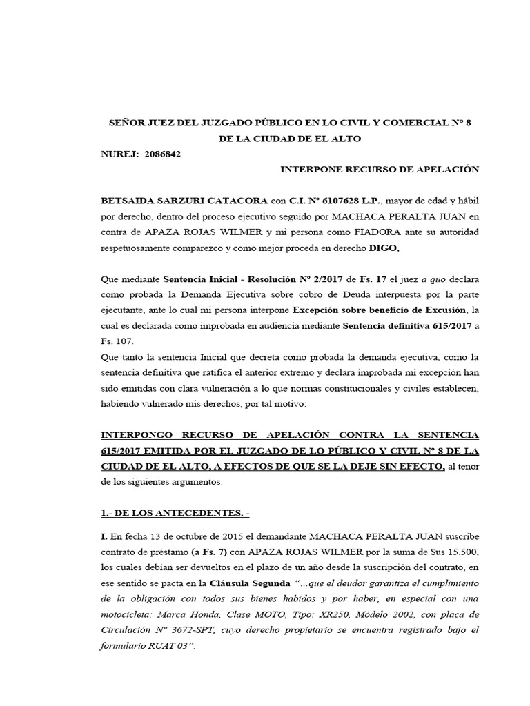 Apelacion Civil | Descargar gratis PDF | Sentencia (ley) | Debido al proceso