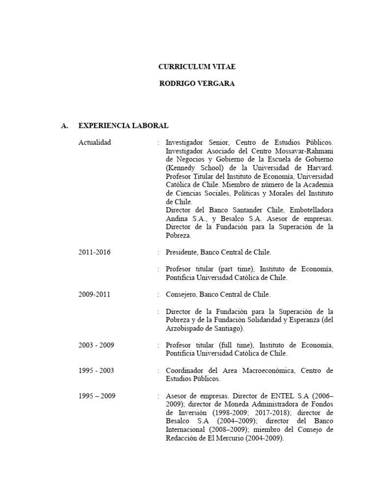 CV Rodrigo Vergara Espanol | PDF