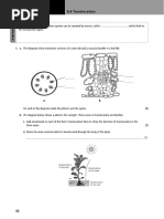 Pass the Ball Game Instructions | PDF