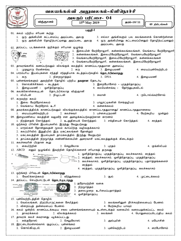 GR 10&11 Exam 04 (15 May) | PDF